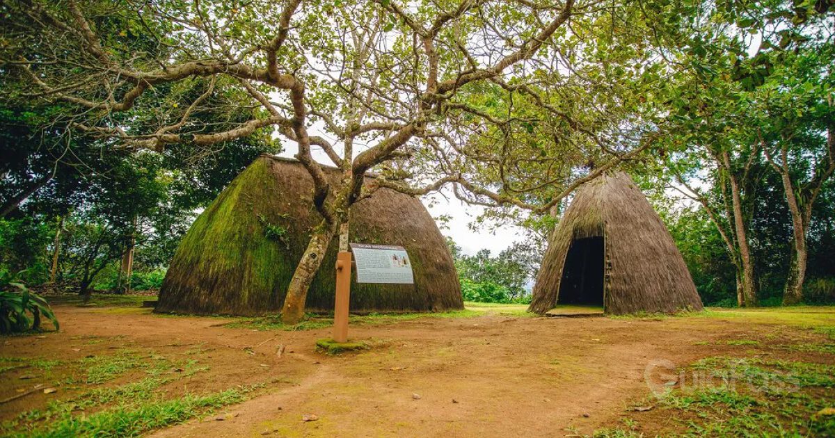 Tour Quilombo dos Palmares